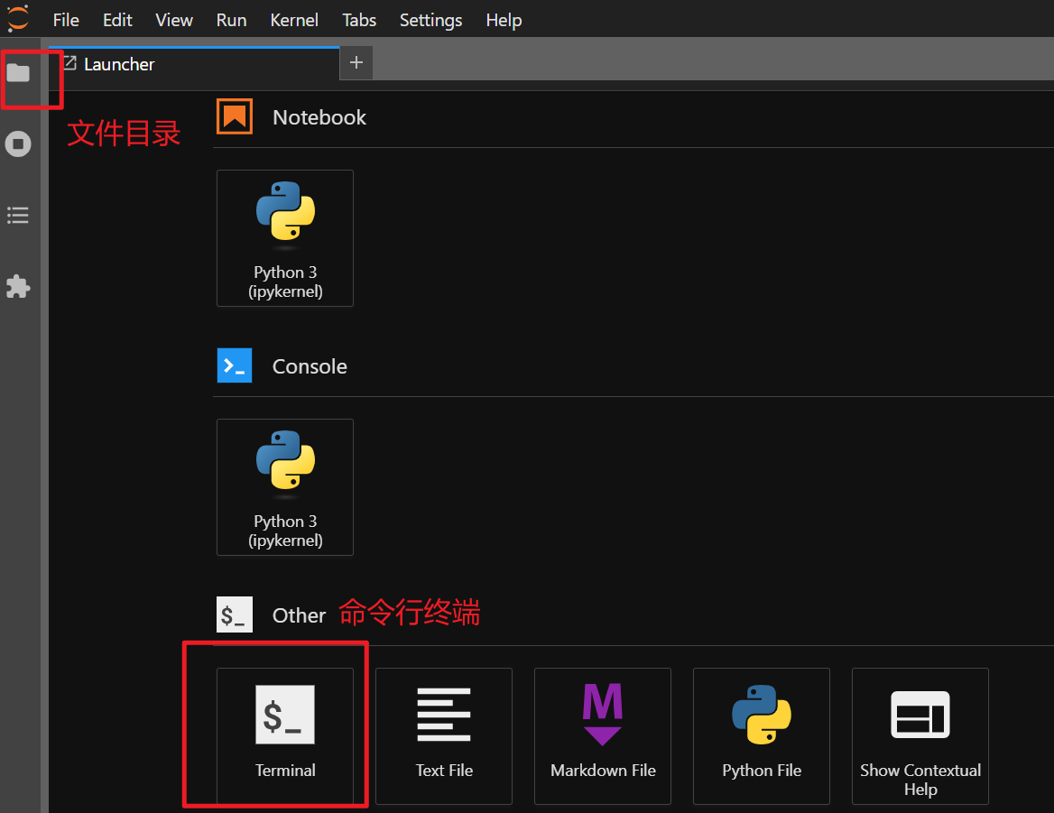 数据与模型路径